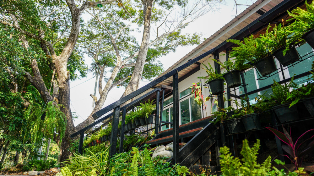 Comparing WELL v1 and WELL v2 - NY Engineers