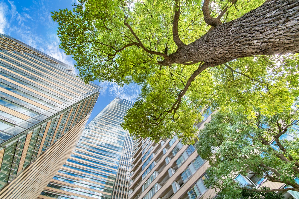 Post-Fire Smoke Purge Systems in Multifamily Buildings